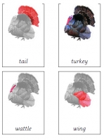 Find blog posts for teaching ideas shared for free