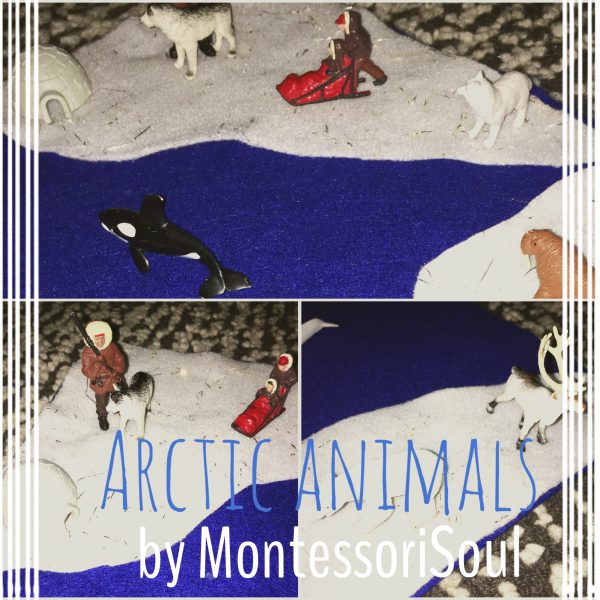 Free downloads and printables for KS1 KS2 Montessori EYFS Forest ...