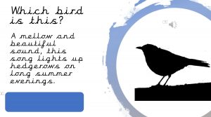 Find blog posts for teaching ideas shared for free