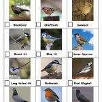 Free downloads and printables for KS1 KS2 Montessori EYFS Forest ...