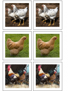 Find blog posts for teaching ideas shared for free